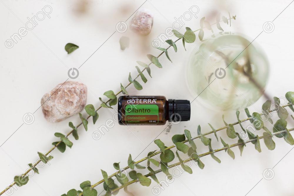 Cilantro essential oil on rustic white table with rocks, gre by ...