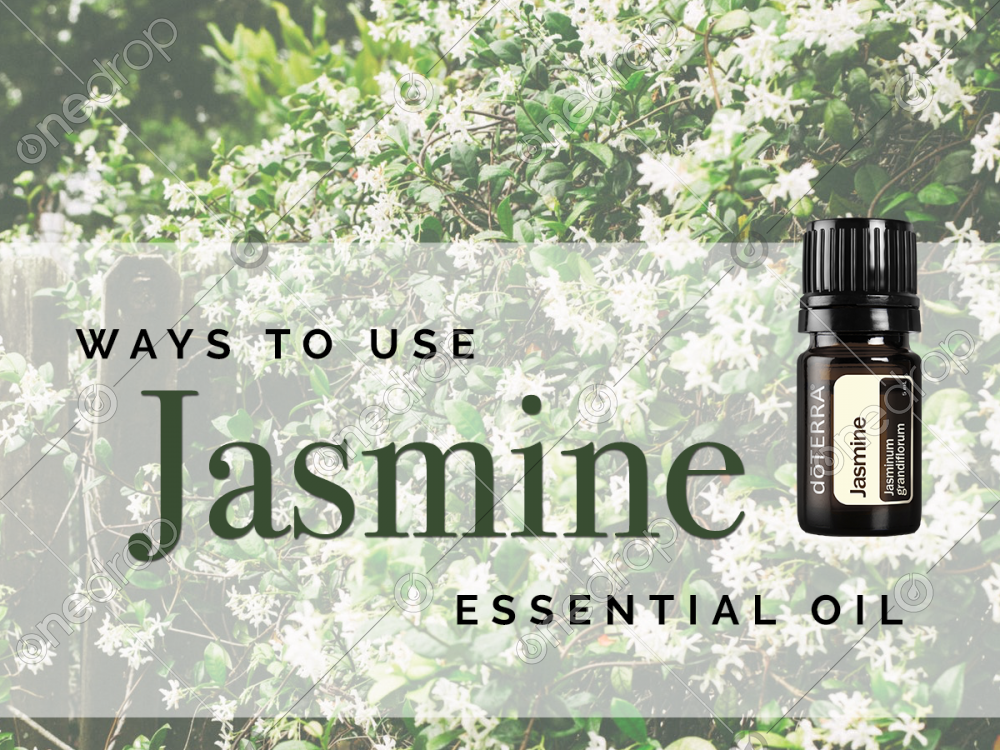Ways to Use Jasmine Oil - Editable Graphics for Social Media by Sibyl Smith