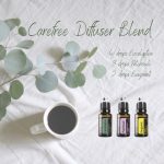 Carefree Diffuser Blend Bundle - sizes for any use by Casey Kent