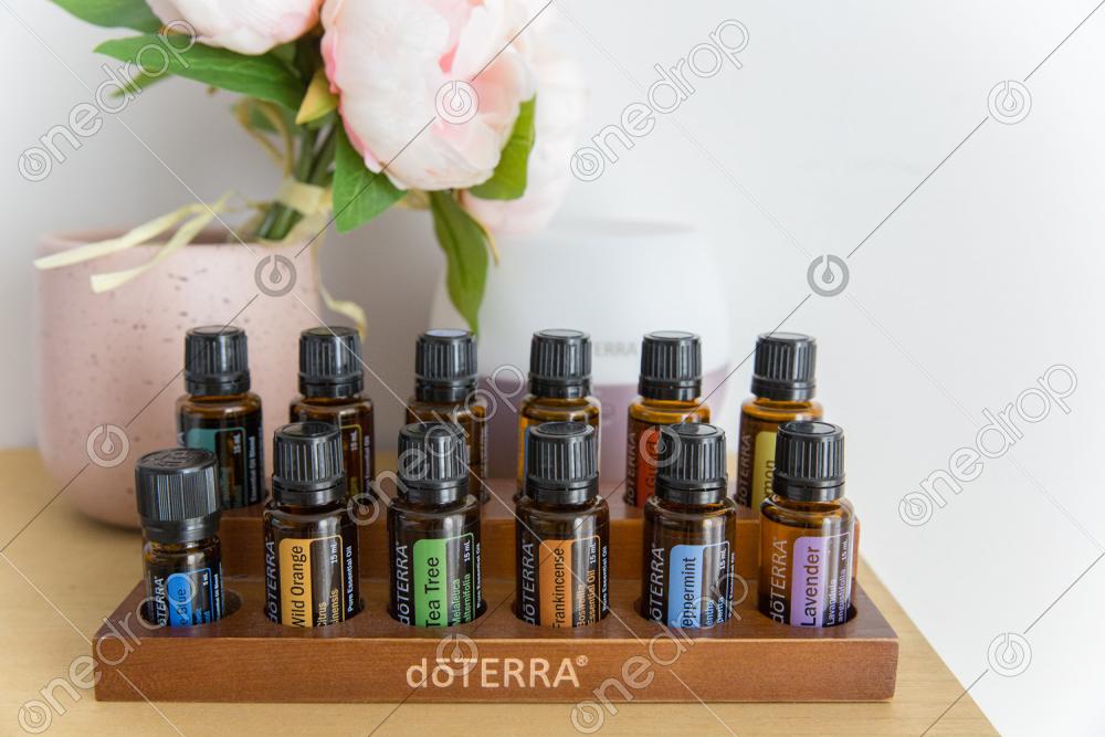 Home Essential Kit (AU) in Wooden stand by Rachel Sherman