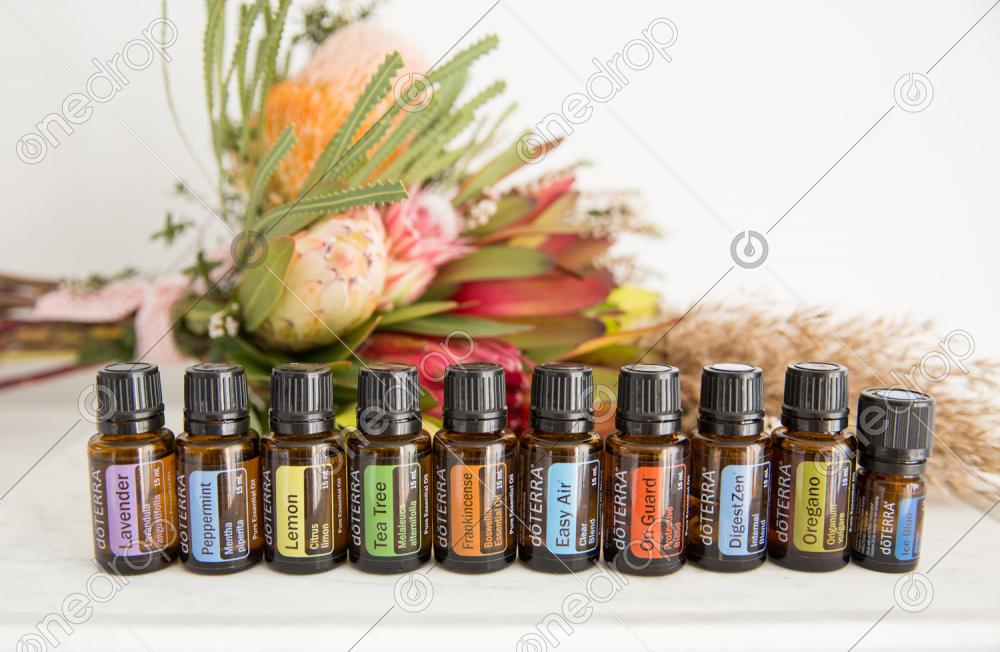 Top 10 Oils (Aus &NZ) with Native Flowers by Rachel Sherman