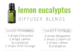 Summer Diffuser Blends by Lori Jimenez