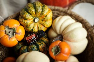 Autumn - Diffuser Blends (IG + Square) by Pixel Perfect