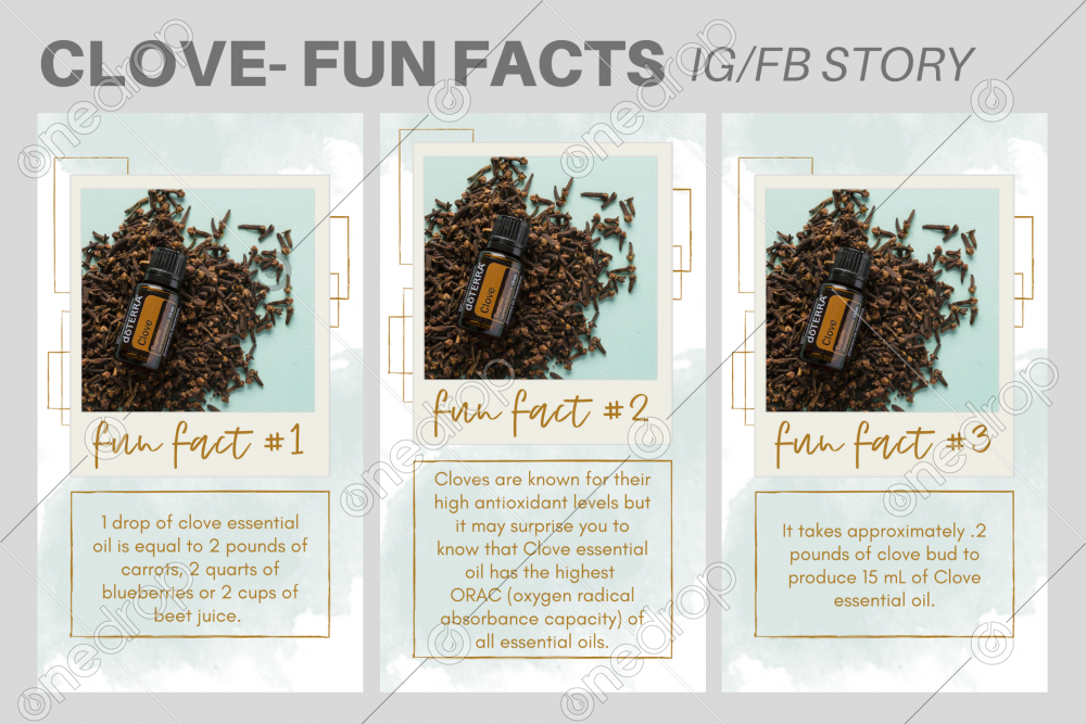 Clove Fun Facts- Story by Kris Flecken