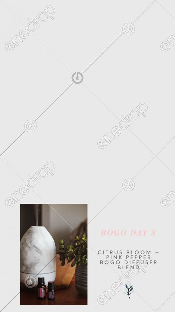 Diffuse Citrus Bloom + Pink Pepper by Amanda Cronk