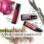 UPDATED- Shift Your Emotions- Social Media- Bundle by Kris Flecken