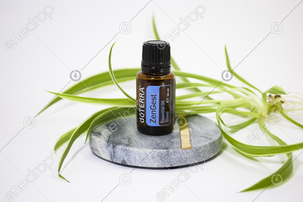 ZenGest with Plant Minimalist Style by Eva Sebok