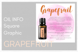 GINGER: SQUARE INFO GRAPHIC by Samantha Ebel-Brown