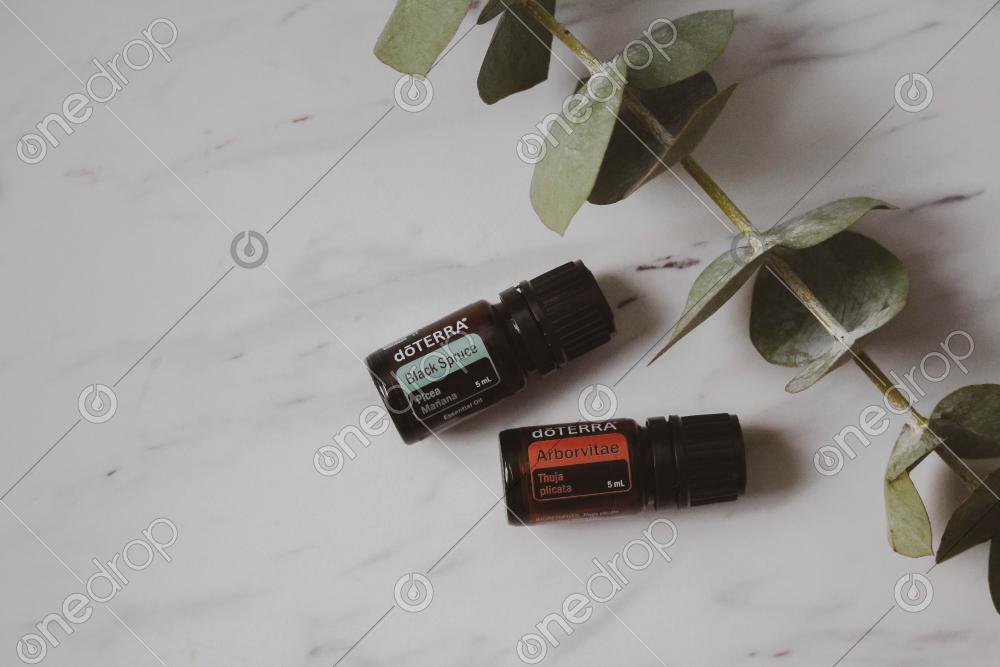 Canadian Essential Oils: Arborvitae & Black Spruce by Amanda Cronk
