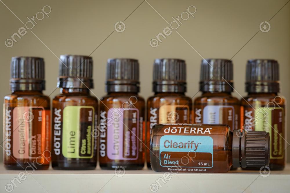 Clearify on display in front of tightly cropped row of oils by Casey Kent