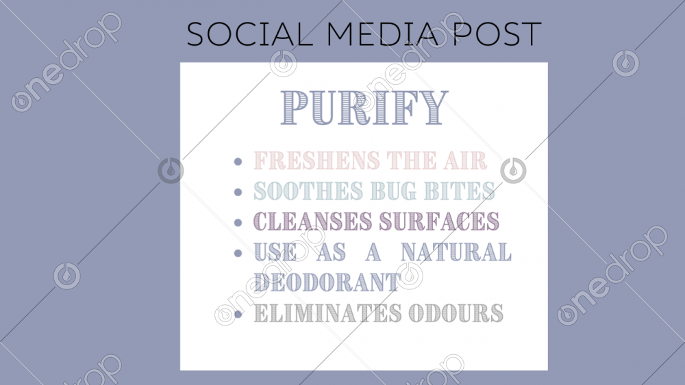 Purify by Carrie English