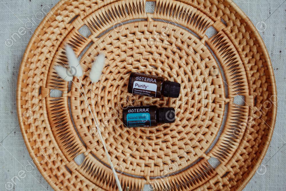 Fresh Blends by Amanda Cronk