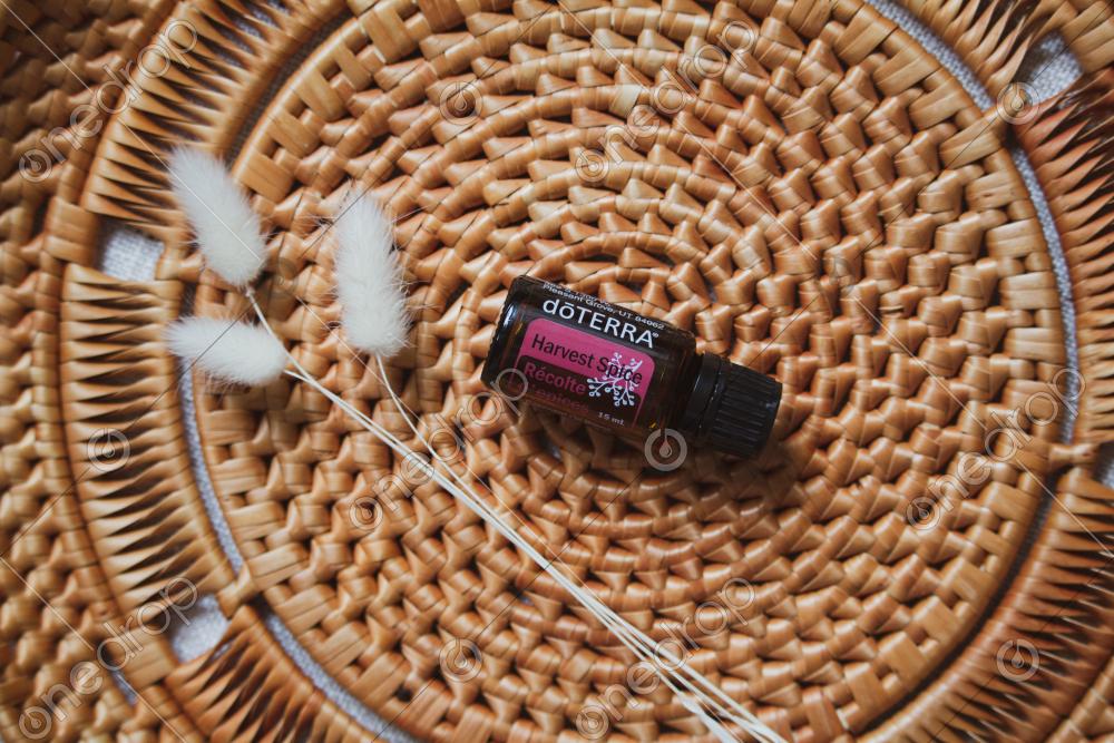 Harvest Spice Flat Lay by Amanda Cronk