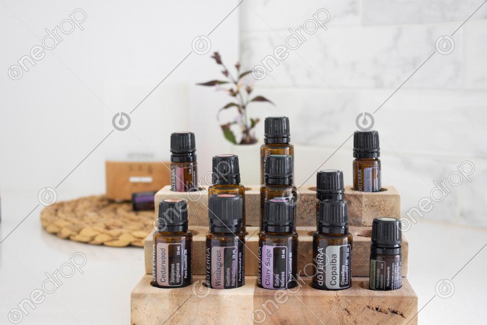 Oil Stand Display with Lumo in Background by Ashley Bergan