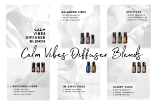 Calm Vibes Diffuser Blends by Kelly Kubiak
