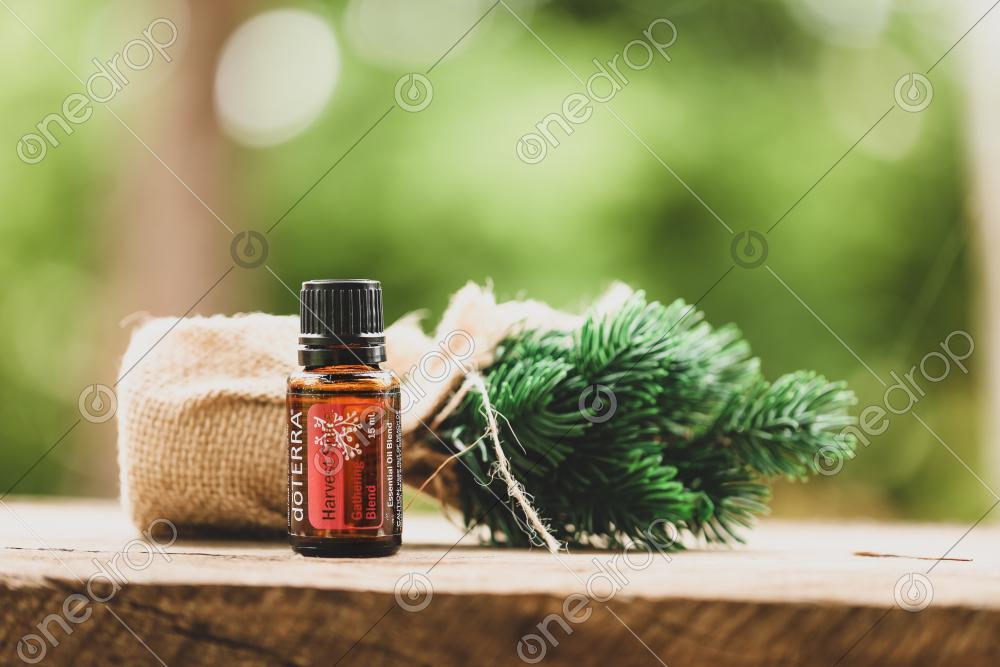 Rustic Harvest Spice image with small Christmas tree by Casey Kent