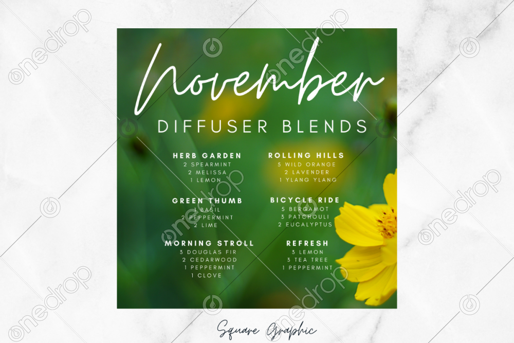 November Diffuser Blends (Southern Hemisphere) by Louise Mulholland