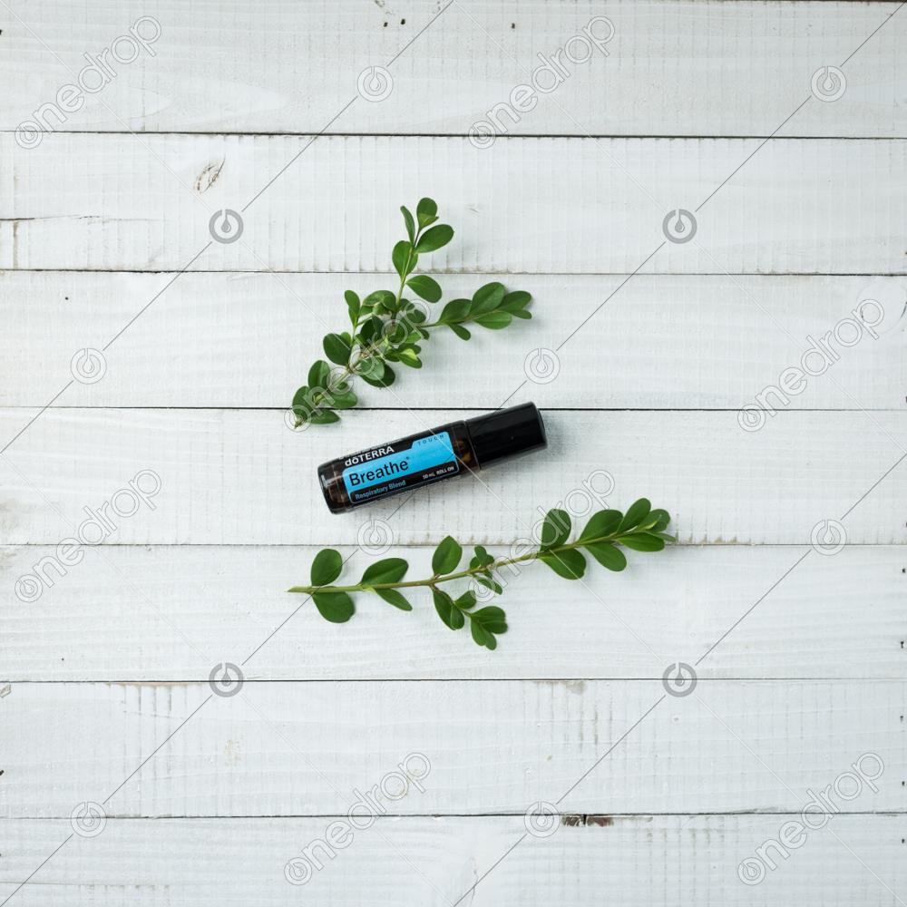 dōTERRA Breathe® Touch Respiratory Blend layflat on white by Sally Sosler