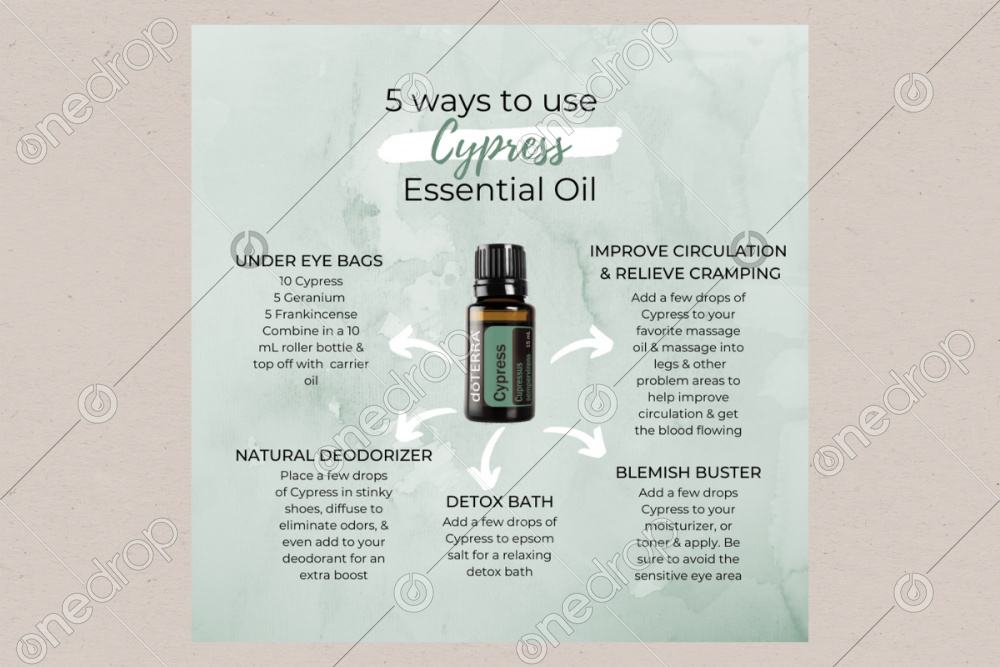 5 ways to use - Cypress by Latifa Majedi