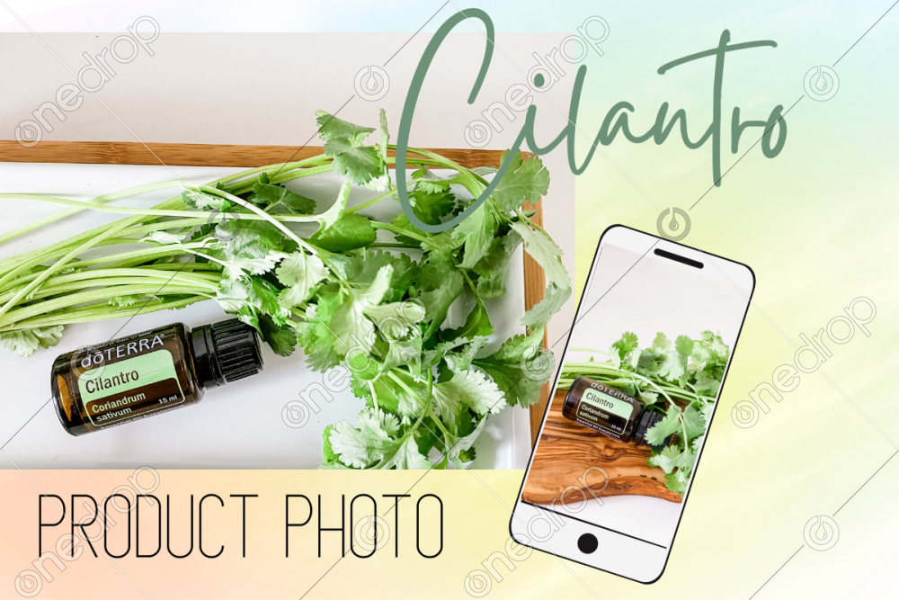 Cilantro Oil Bottle with herbs: Flat Lay by Jess Tunis