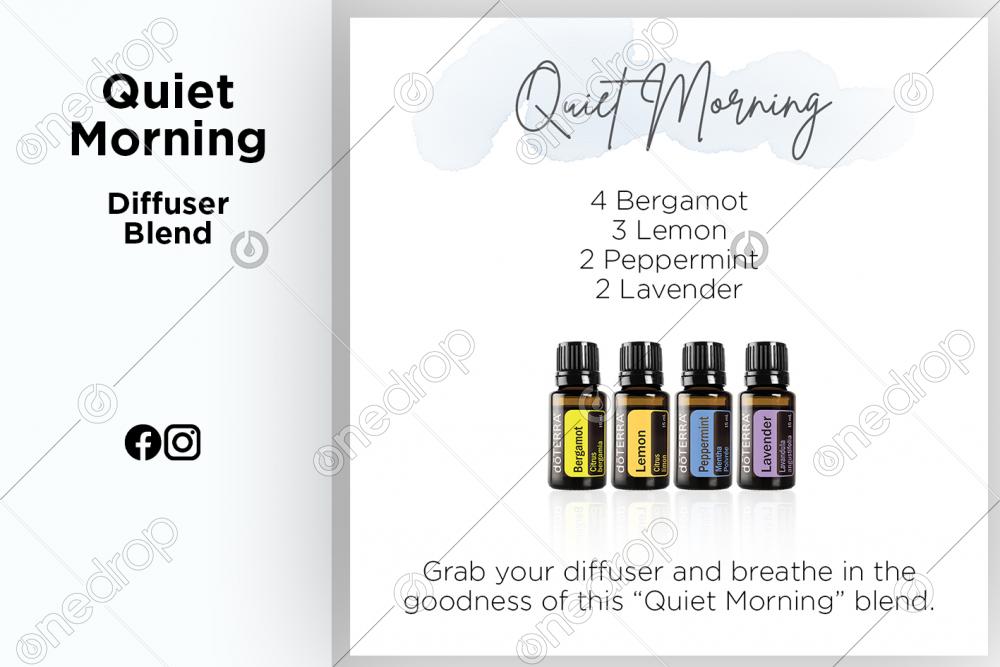 Quiet Morning Diffuser Blend by Jan Kohler