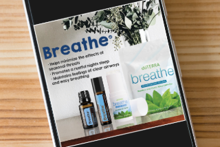 Bye Bye Bug Spray by Maggie Spangler