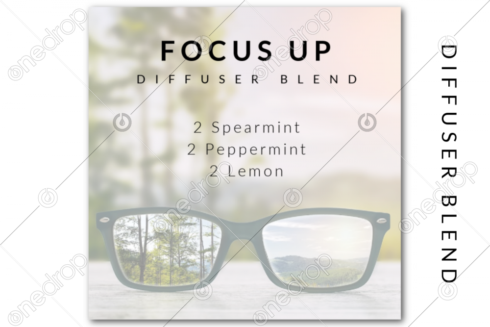 Focus Up Diffuser Blend (version 2) by Melanie Holding