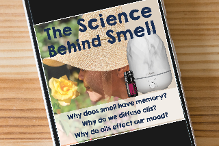 Root Beer Float - Diffuser by Maggie Spangler