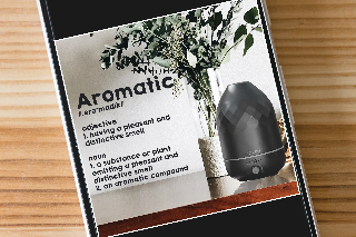 Root Beer Float - Diffuser by Maggie Spangler