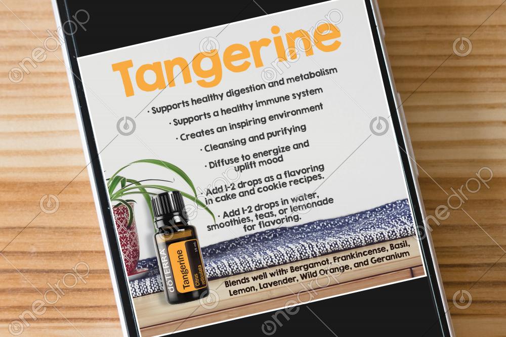 Tangerine - General Info Graphic by Maggie Spangler