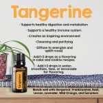 Tangerine - General Info Graphic by Maggie Spangler