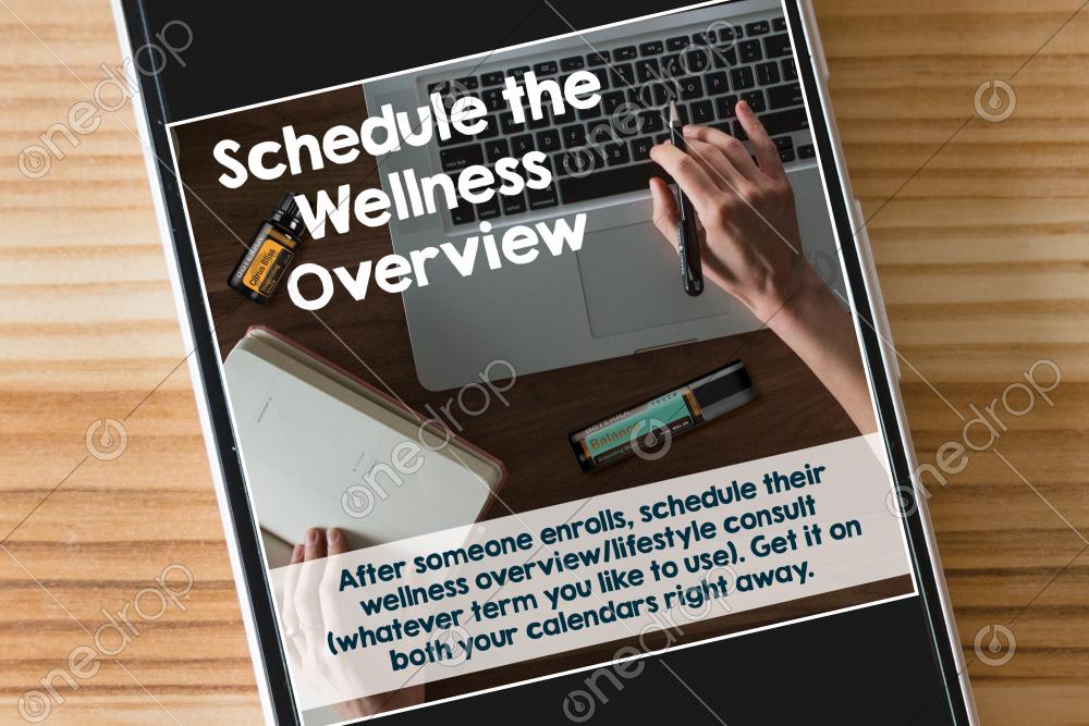 Schedule Wellness Overview by Maggie Spangler