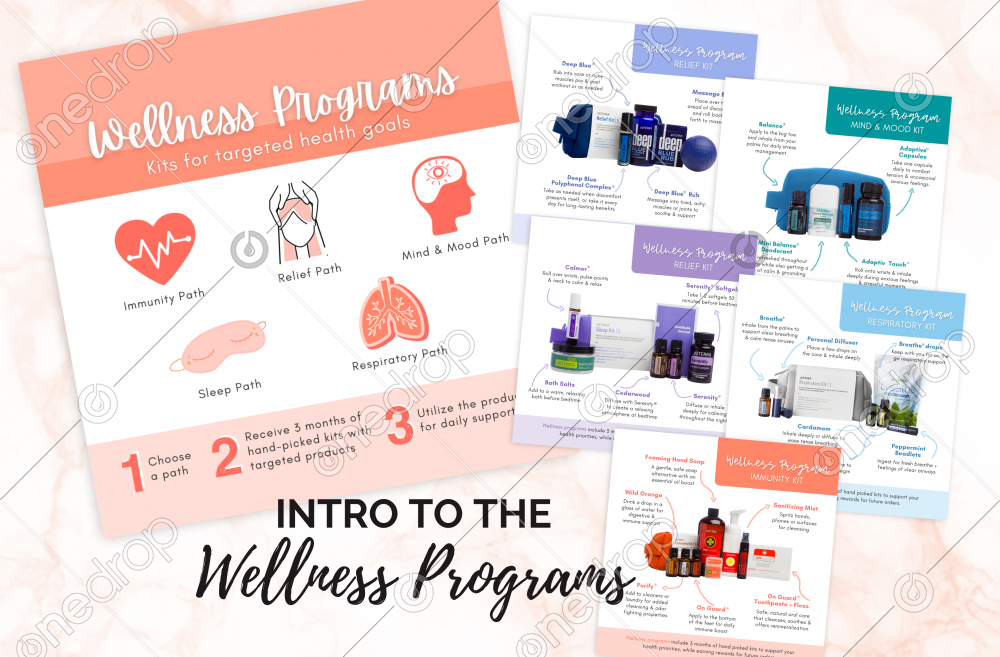 Wellness Program Kit Introduction by Amy Schultz