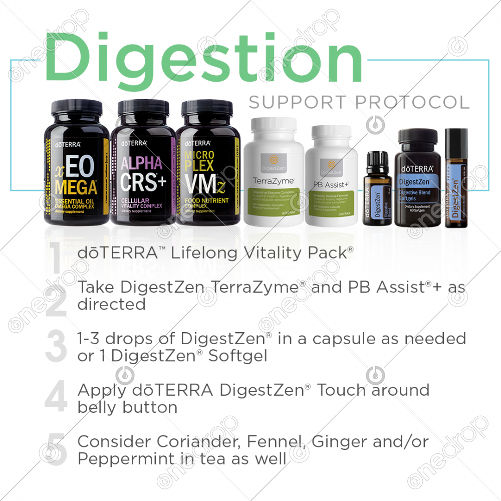 Digestion Protocol by Jan Kohler