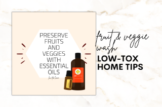 DIY: Car Cleaner [Low-Tox Home Collection] by Tayci Mecham