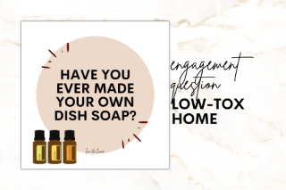 DIY: Car Cleaner [Low-Tox Home Collection] by Tayci Mecham