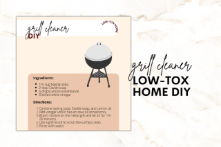 DIY: Car Cleaner [Low-Tox Home Collection] by Tayci Mecham