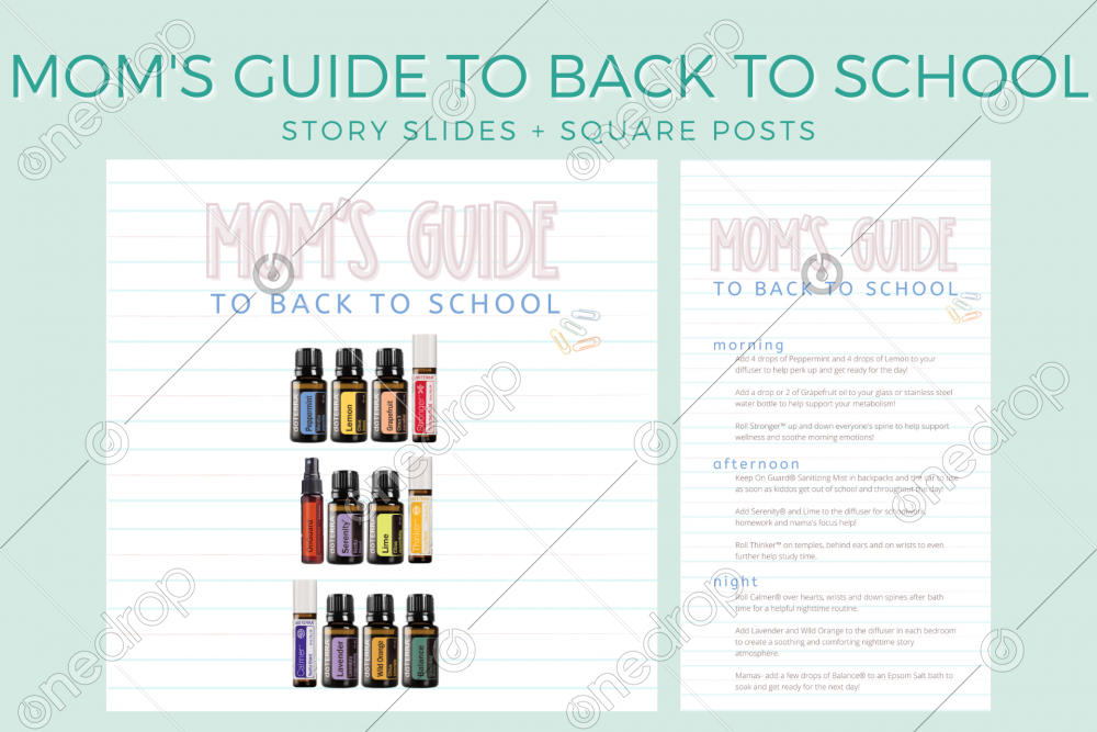 Mom's Back to School Guide Bundle by Christina Main