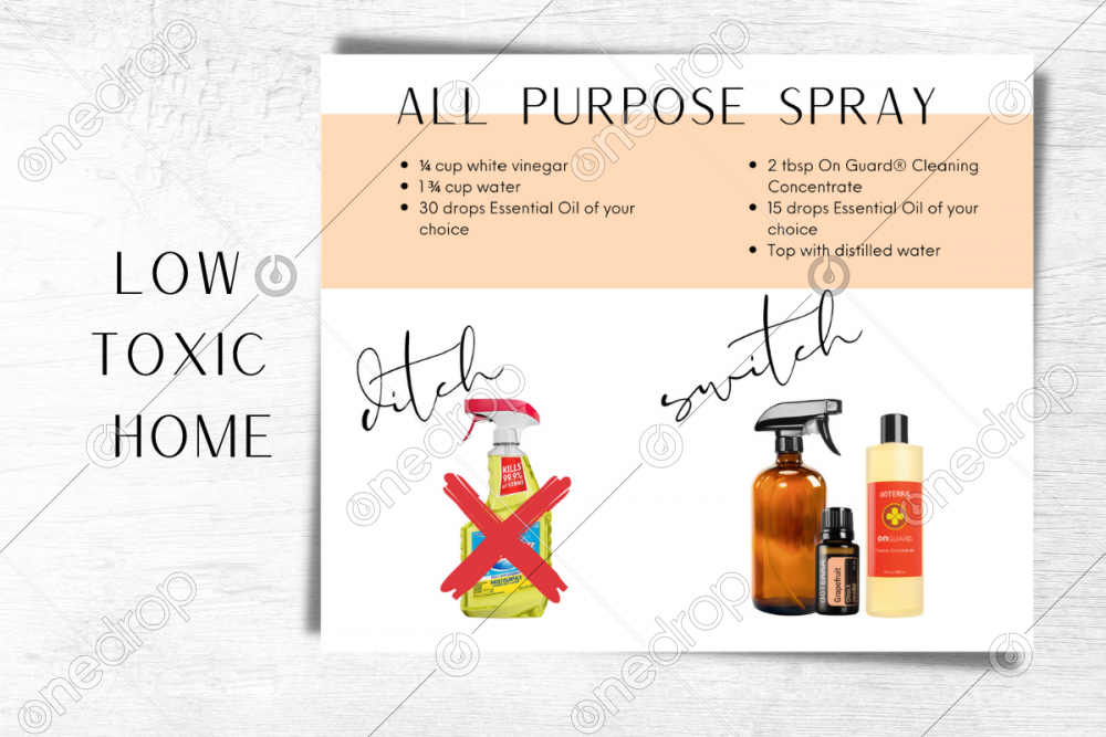 Low toxic Home: DIY All Purpose Spray by Jess Tunis