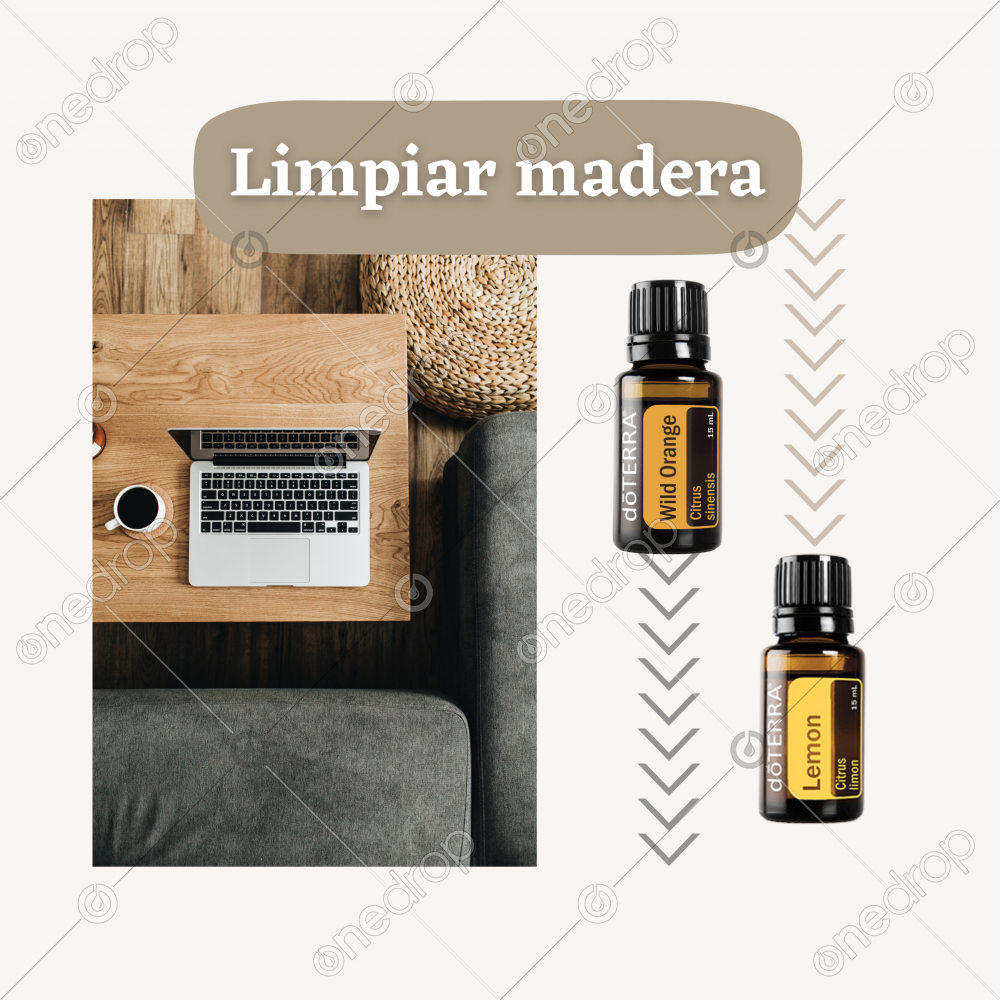 Limpia tus superficies de madera by Auri Fernandez
