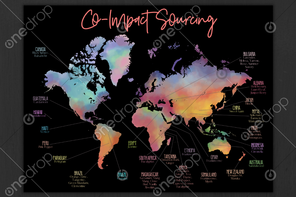Co-Impact Sourcing Map Dark by Mile High Essentials