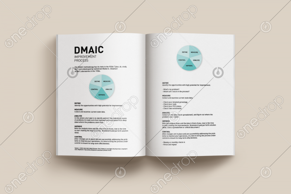 DMAIC Printable (Problem Solving Strategy) by Jocelyne Geprägs