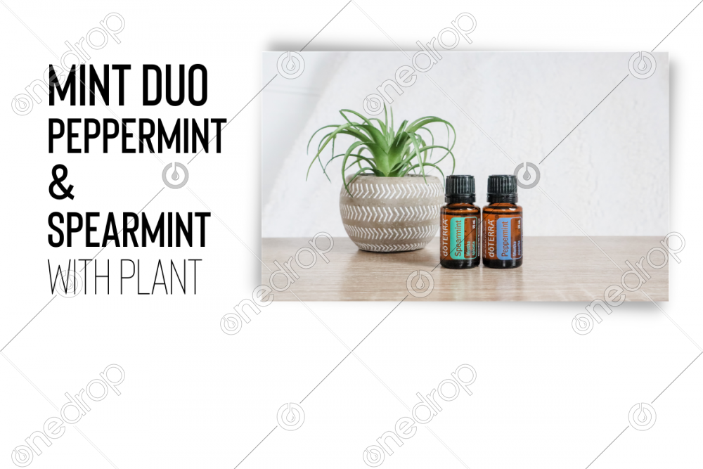 Mint Duo - Spearmint & dōTERRA Peppermint by Amber Wilson