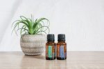 Mint Duo - Spearmint & dōTERRA Peppermint by Amber Wilson