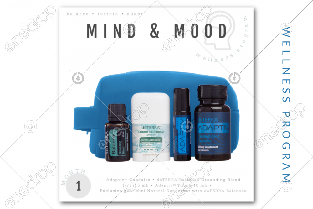 Mind & Mood Wellness Program Month 1 by Melanie Holding