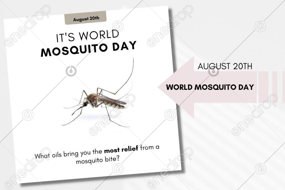 20 August - World Mosquito Day by Pixel Perfect