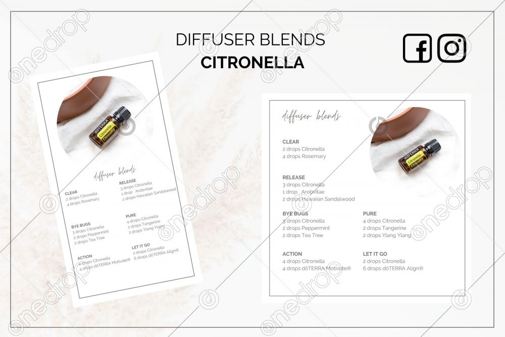 Citronella Diffuser blends by Priscilla Siswoko