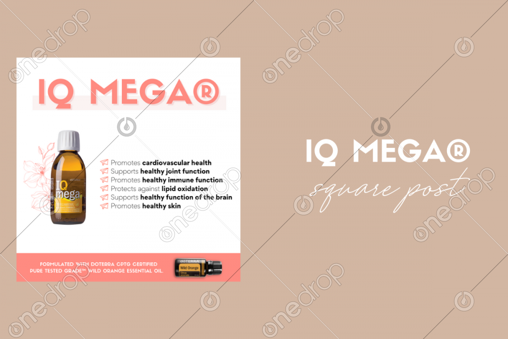 IQ Mega - Square Infographic by Maile Viela