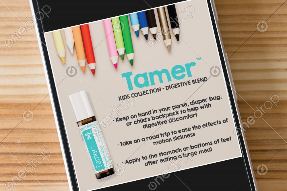 Tamer - Infographic by Maggie Spangler