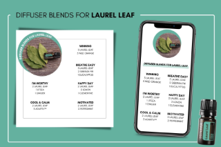 Autumn - Diffuser Blends (IG + Square) by Pixel Perfect